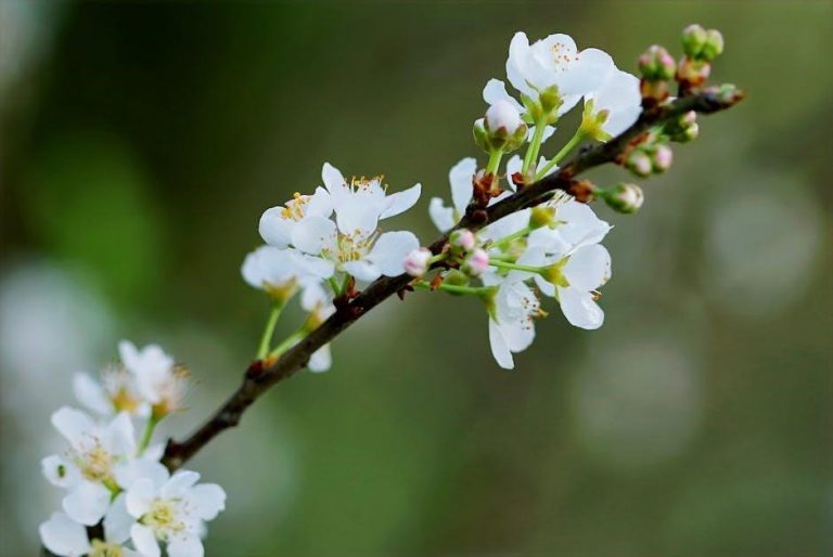 On Awakening: Your AA Guide to Spiritual Transformation